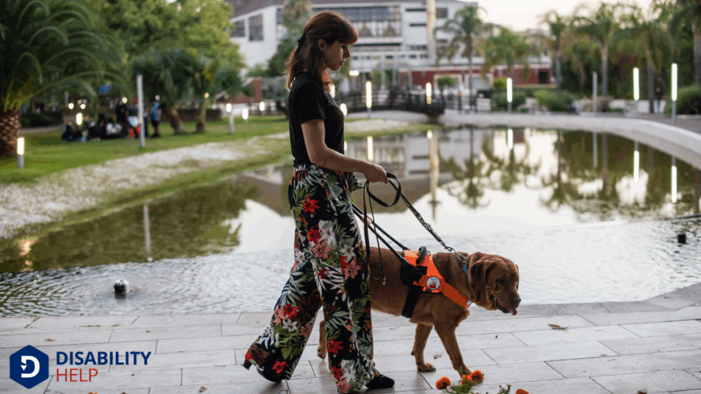 Are Service Animals Protected Under Disability Laws? - Resources on ...