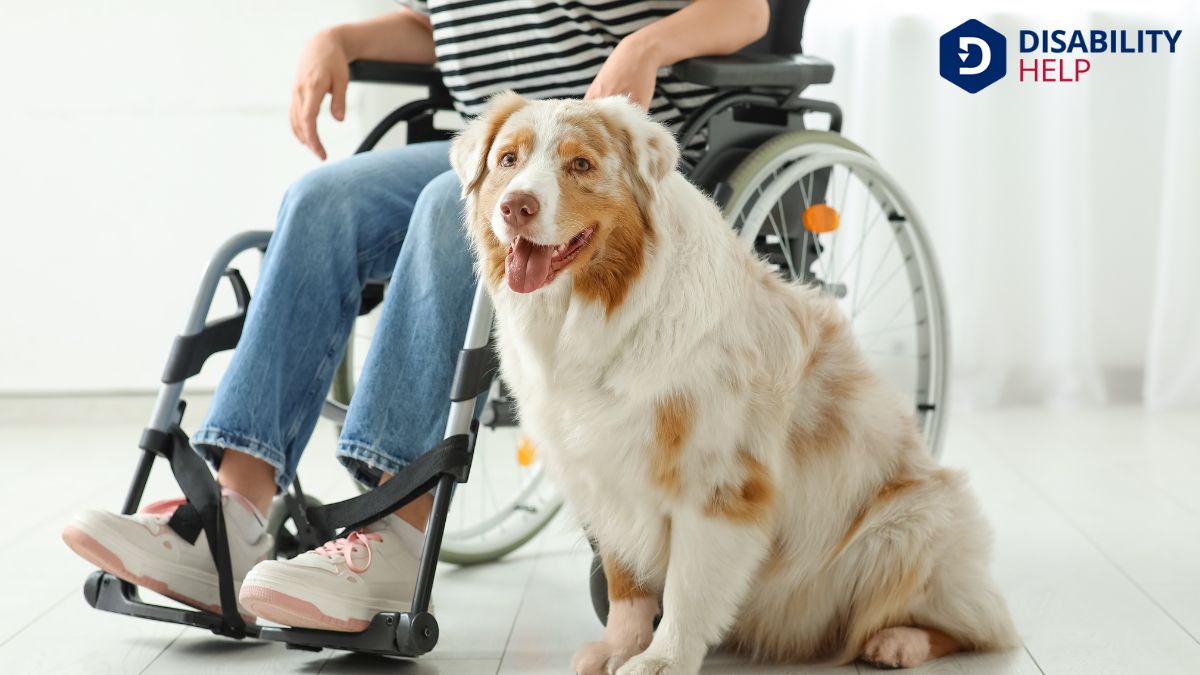 How Do I Find Wheelchair Accessible Housing Near Me? - Resources on ...